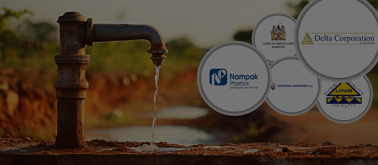 Our Subsidiaries-chibuku - Delta Corporation Limited