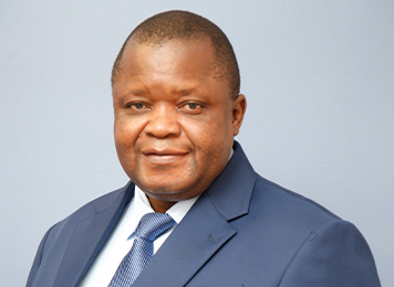 Presentation to Analysts - Delta Corporation Limited